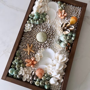 Framed Seashell Wall Mosaic Natural Sea Shells Coastal Nautical Wall ...
