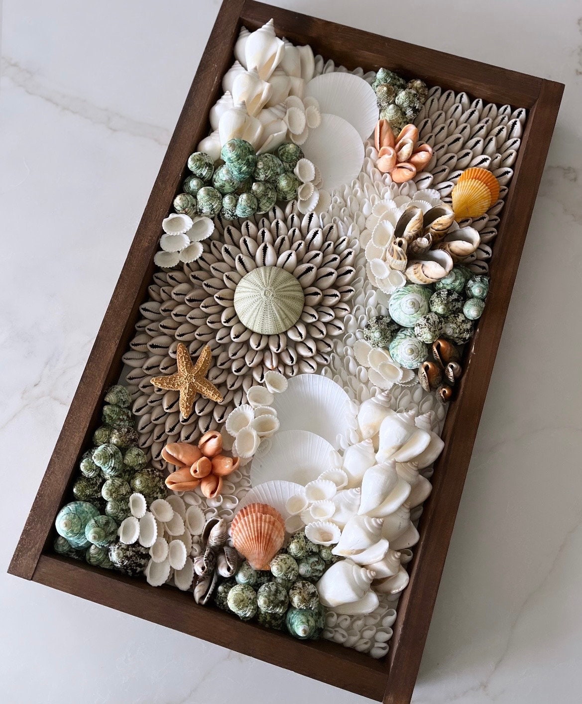 Framed Seashell Wall Mosaic Natural Sea Shells Coastal Nautical Wall ...