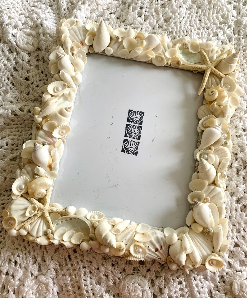 Sea Shell Picture Frame White Pearl CORAL REEF Natural Rare Seashells ...