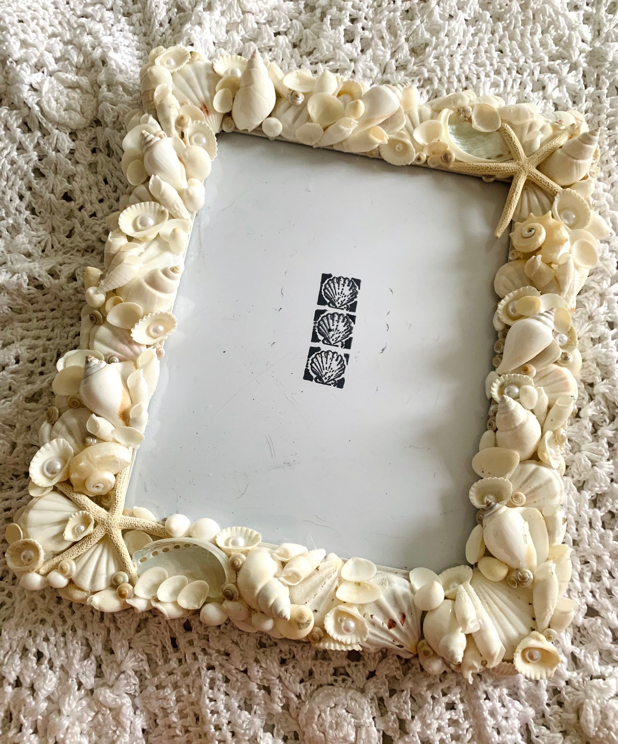 Sea Shell Picture Frame White Pearl CORAL REEF Natural Rare Seashells ...