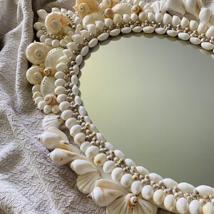 EMMA SEASHELL MIRROR - Natural Sea Shell Mirror Adorned With White and ...