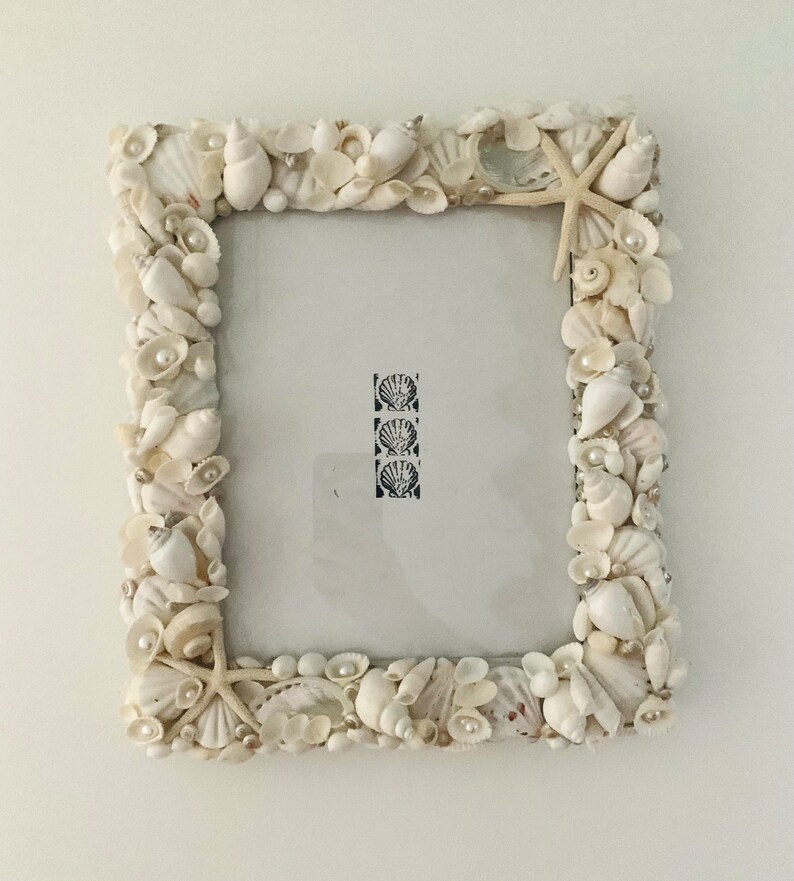 Sea Shell Picture Frame White Pearl CORAL REEF Natural Rare Seashells ...