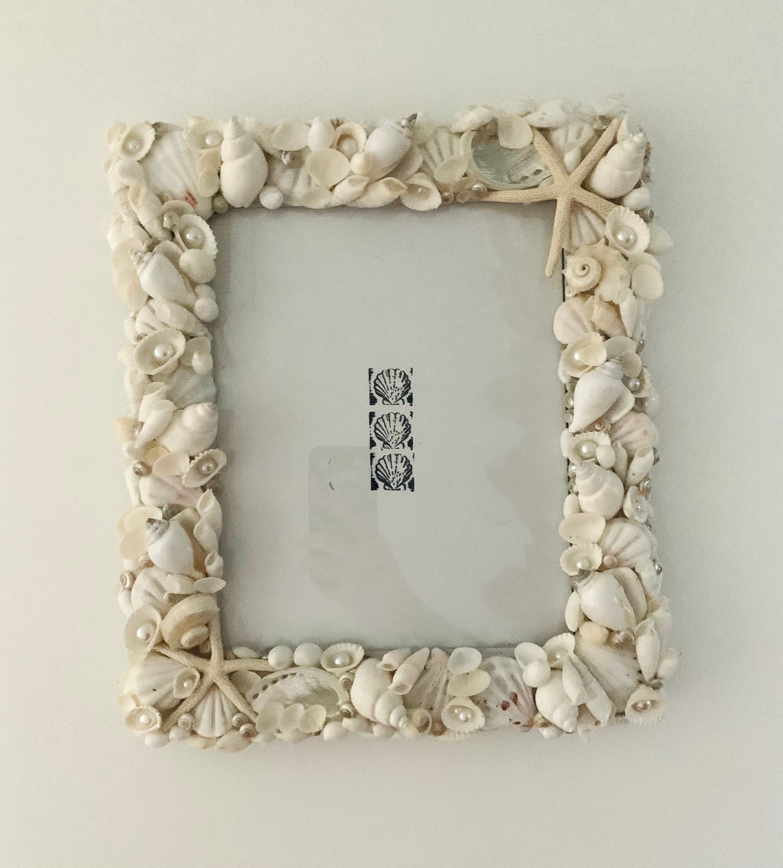 Sea Shell Picture Frame White Pearl CORAL REEF Natural Rare Seashells ...