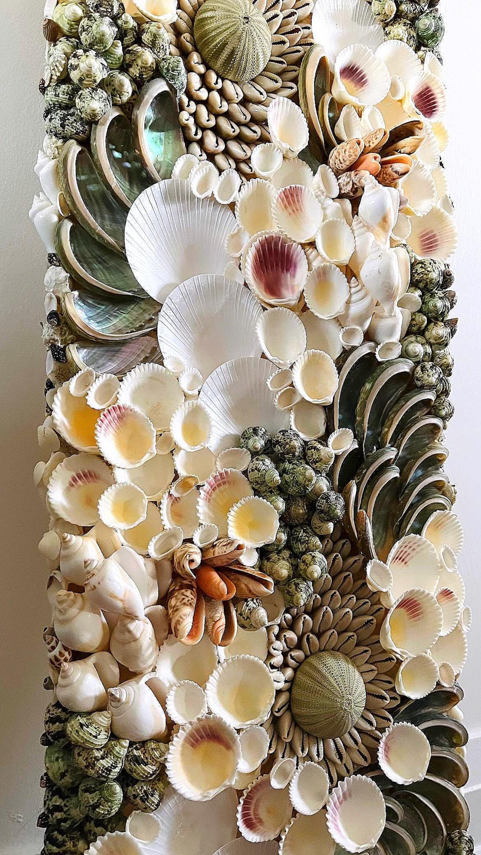 Sea Shell Wall Panels- Full Wall Mosaics All Natural Seashells Urchins ...