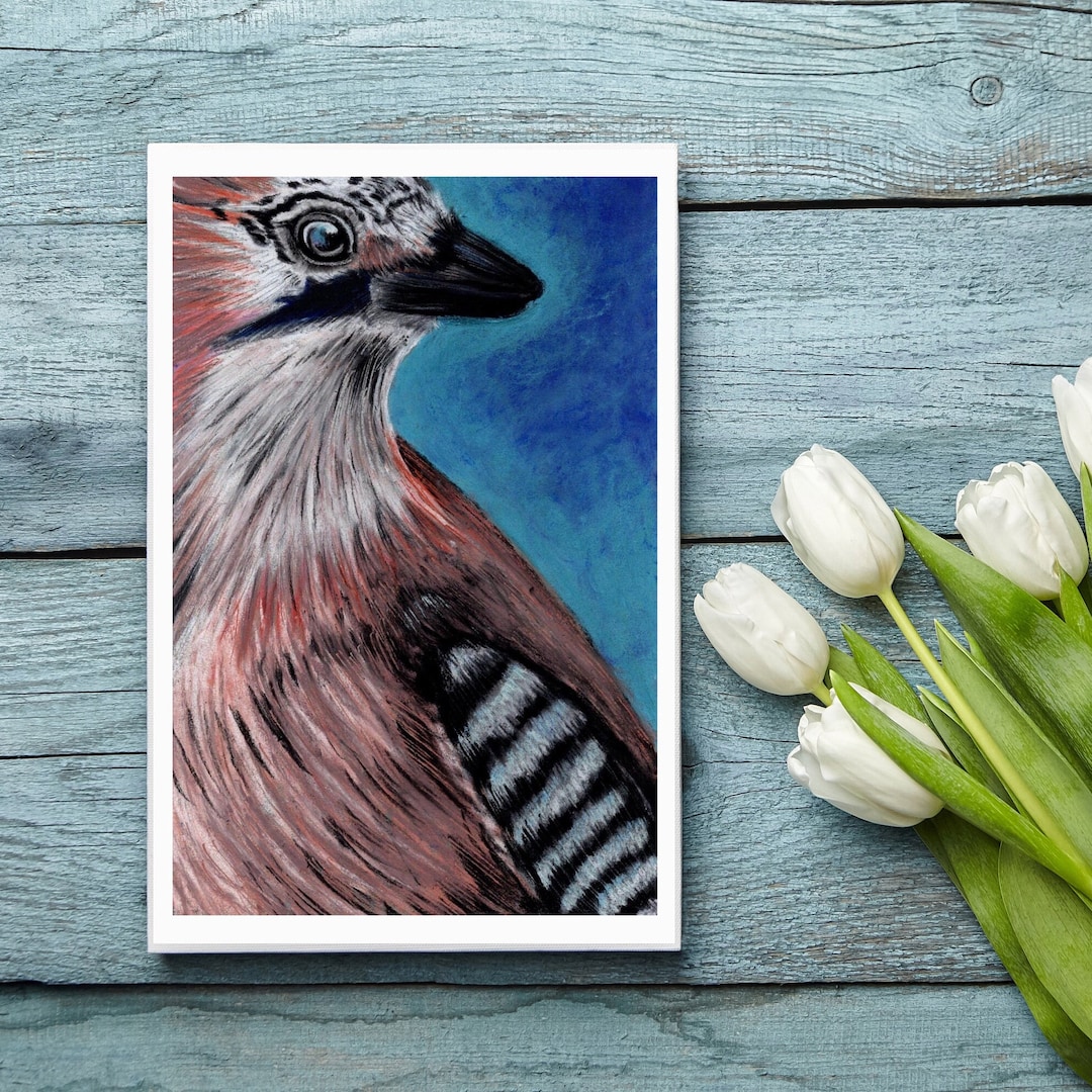 Jay Card, Any Occasion, Bird Card, Bird Lover, Bird Gifts, Wildlife ...