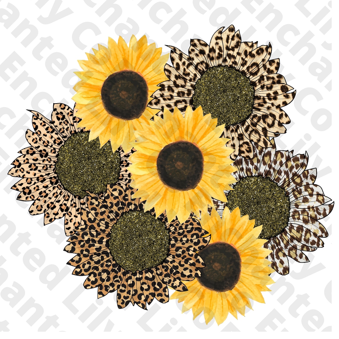 Leopard Sunflower Png, Fall Png, Gold Sunflower Png, Leopard Print, PNG ...
