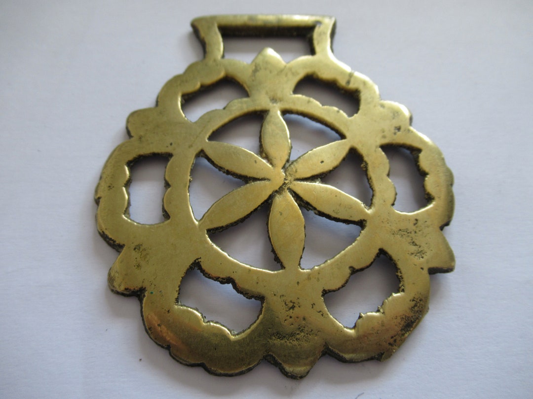 Antique Flower Pattern Horse Brass in A Bat Wing Surround Martingale ...
