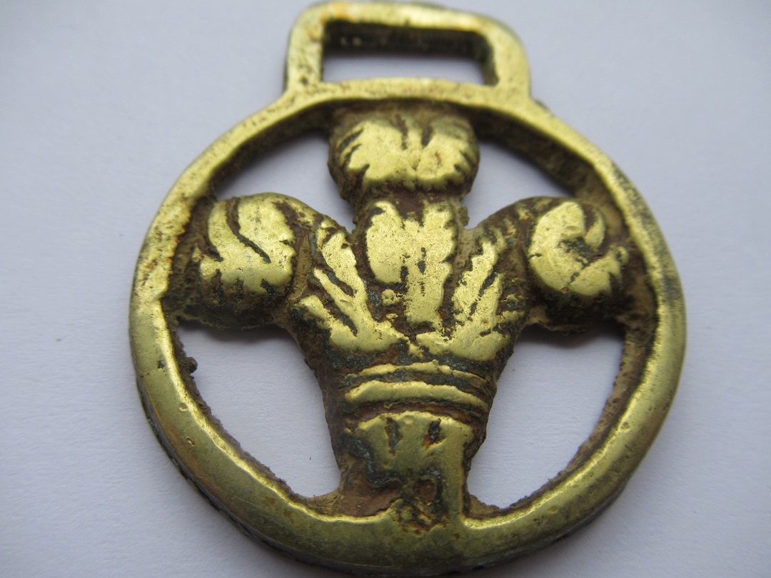 Vintage Horse Brass: Prince of Wales Ostrich Feather Crest Medallion - Etsy