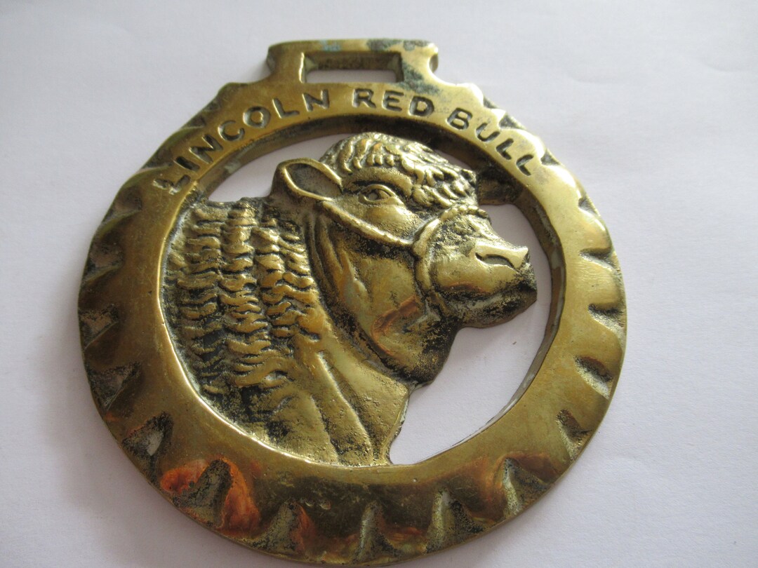 Vintage Lincoln Red Bull's Head Horse Brass Protection Amulet ...