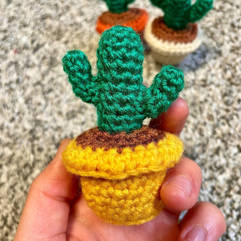 Crochet Cacti - Etsy