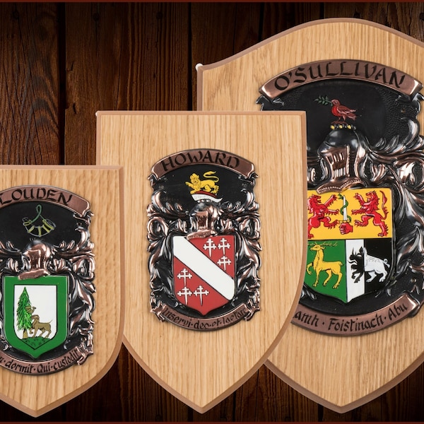 Painted Coat Arms Shield - Etsy
