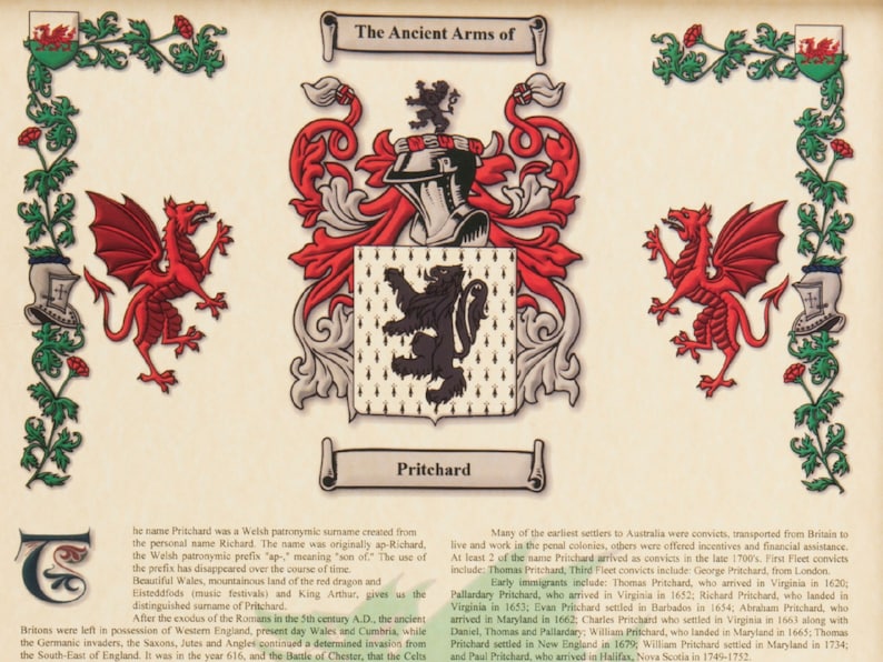 A3 Surname History Print – Scroll-style Heraldry & Coat of Arms - Etsy