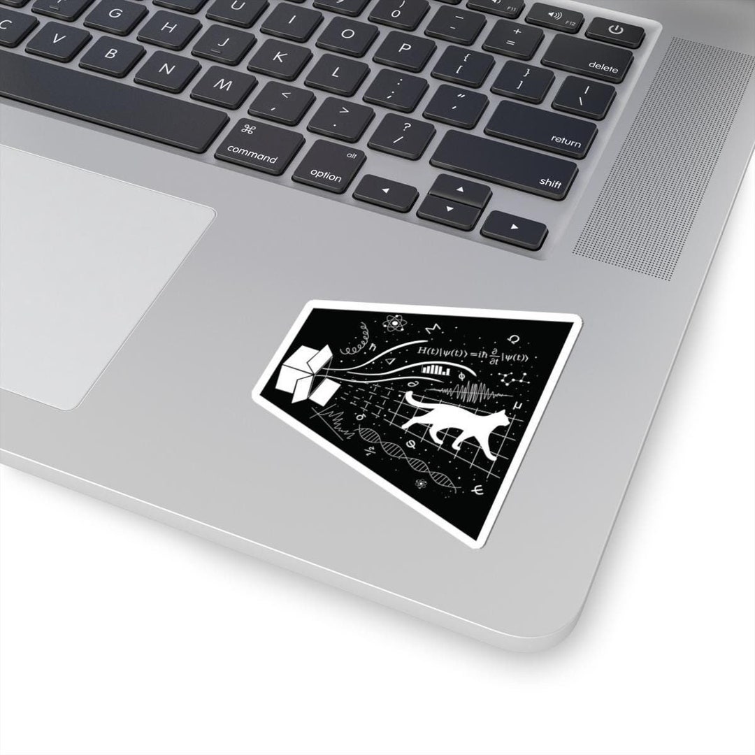Quantum Mechanics Schrödinger's Cat Stickers, Physics Illustration ...