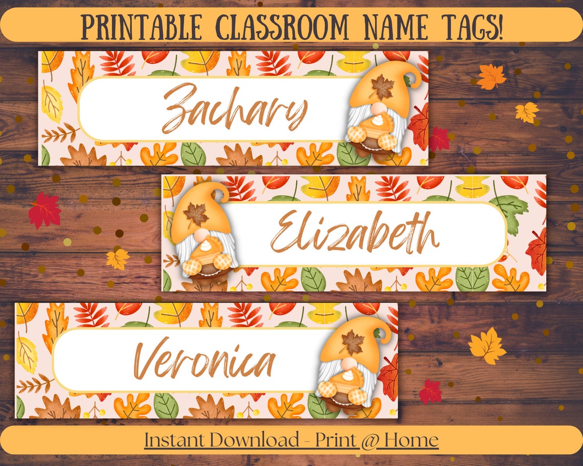 Desk Name Labels, Classroom Name Labels, Cubby Label, Name Tags, Back ...