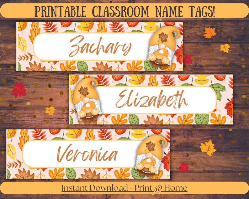 Desk Name Labels, Classroom Name Labels, Cubby Label, Name Tags, Back ...