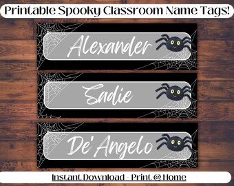 Desk Name Labels, Classroom Name Labels, Cubby Label, Name Tags, Back ...