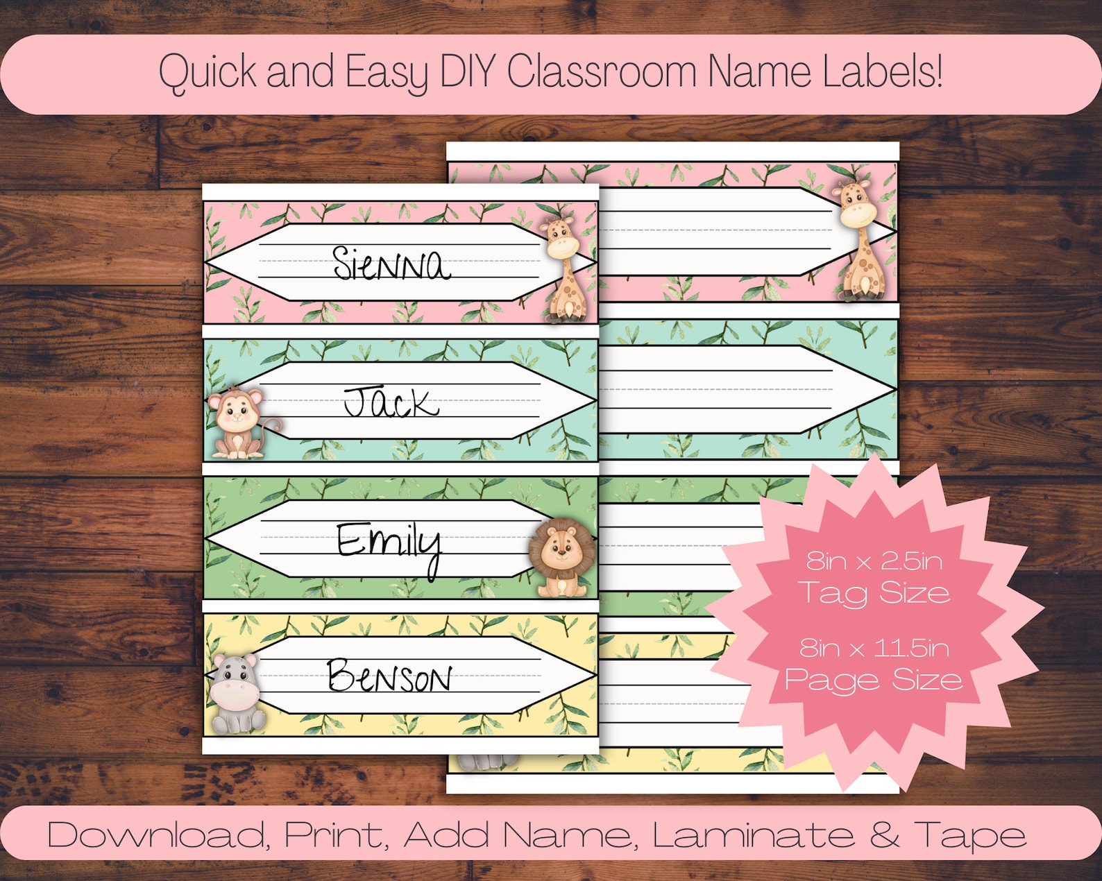 Desk Name Labels, Classroom Name Labels, Cubby Label, Name Tags, Back ...