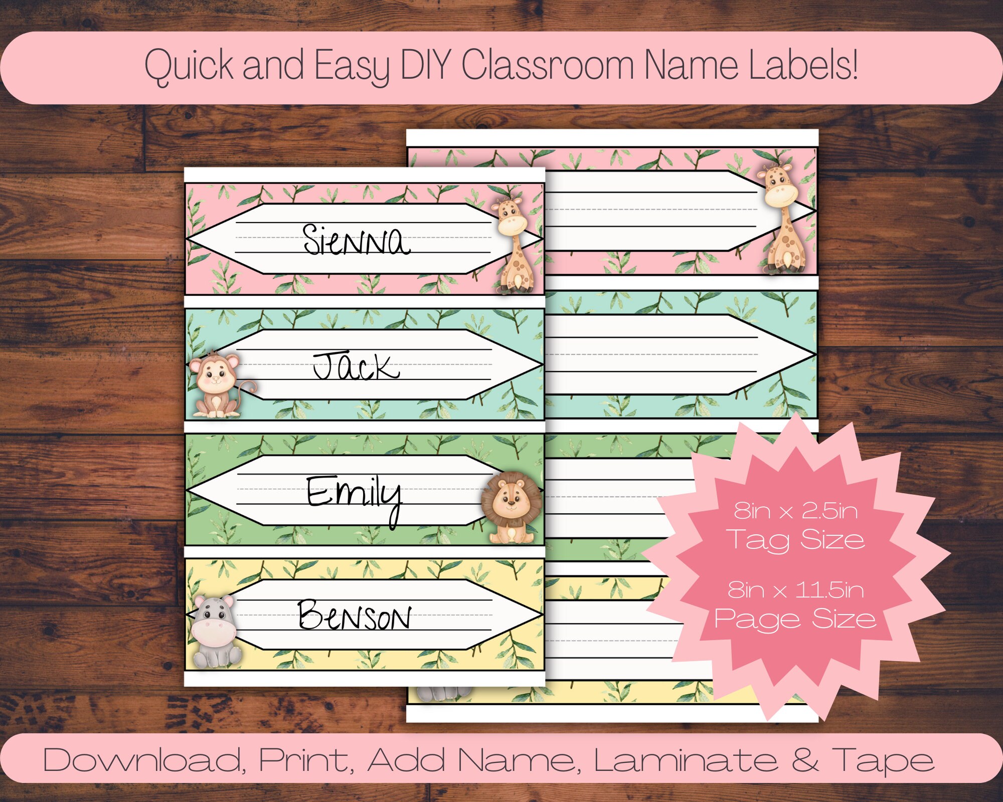 Desk Name Labels, Classroom Name Labels, Cubby Label, Name Tags, Back ...