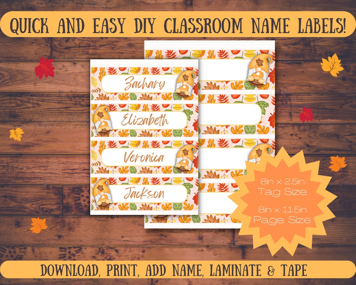 Desk Name Labels, Classroom Name Labels, Cubby Label, Name Tags, Back ...
