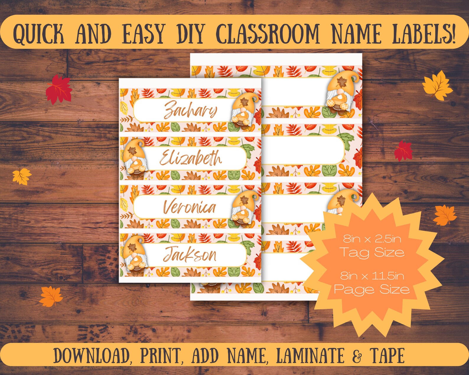 Desk Name Labels, Classroom Name Labels, Cubby Label, Name Tags, Back ...