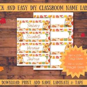Desk Name Labels, Classroom Name Labels, Cubby Label, Name Tags, Back ...