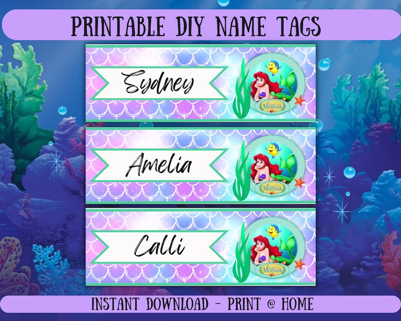 Desk Name Labels, Classroom Name Labels, Cubby Label, Name Tags, Back ...