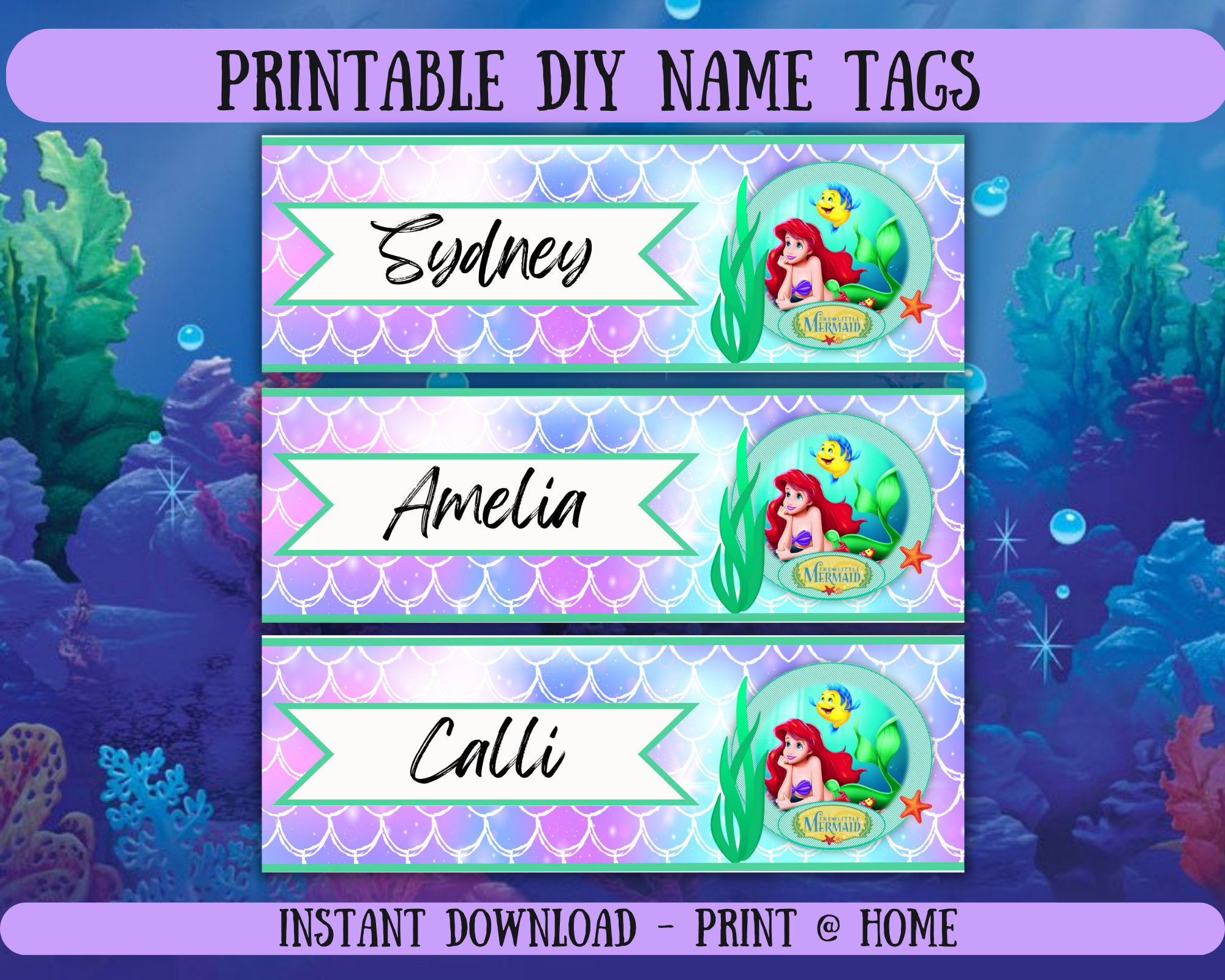 Desk Name Labels, Classroom Name Labels, Cubby Label, Name Tags, Back ...