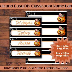 Desk Name Labels, Classroom Name Labels, Cubby Label, Name Tags, Back ...