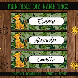 Desk Name Labels, Classroom Name Labels, Cubby Label, Name Tags, Back ...
