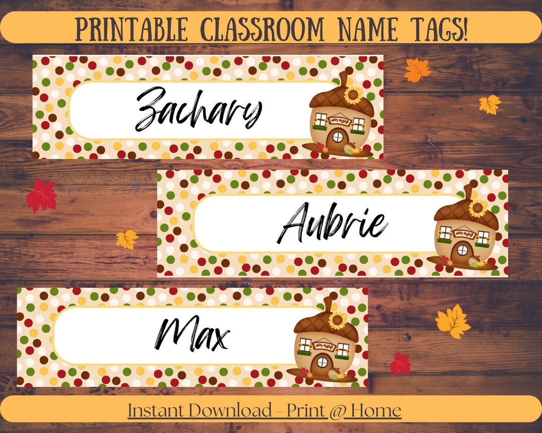 Desk Name Labels, Classroom Name Labels, Cubby Label, Name Tags, Back ...