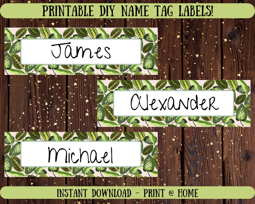 Desk Name Labels, Classroom Name Labels, Cubby Label, Name Tags, Back ...