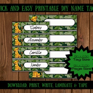 Desk Name Labels, Classroom Name Labels, Cubby Label, Name Tags, Back ...