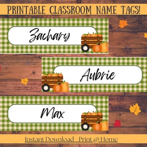 Desk Name Labels, Classroom Name Labels, Cubby Label, Name Tags, Back ...