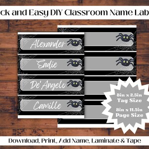 Desk Name Labels, Classroom Name Labels, Cubby Label, Name Tags, Back ...