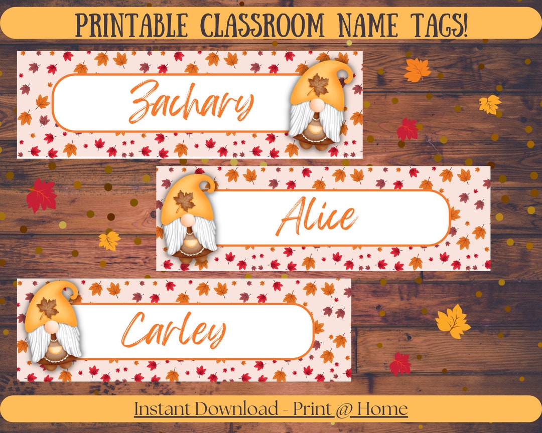 Desk Name Labels, Classroom Name Labels, Cubby Label, Name Tags, Back ...