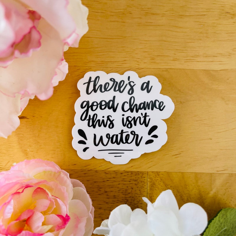 Funny Water Bottle Stickers - Etsy