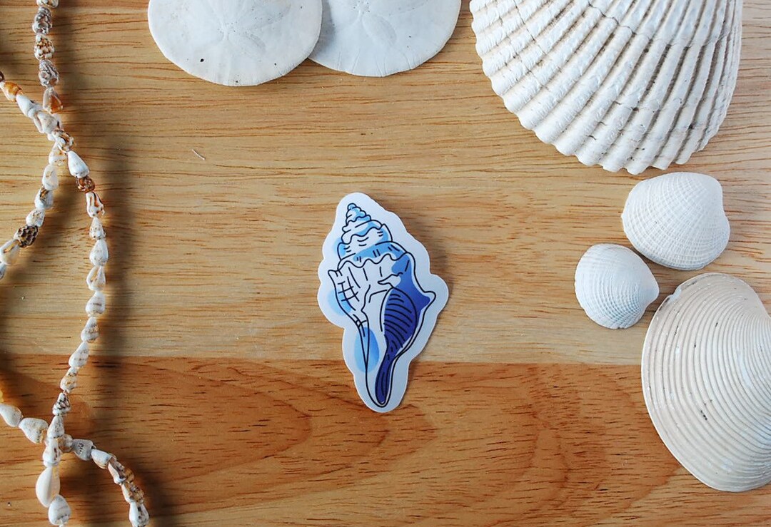 Blue Vinyl Seashell Sticker - Etsy