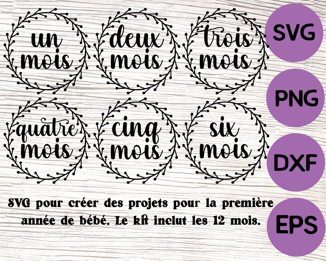 Baby Milestones Svg / French Monthly Milestones / Première Année De ...