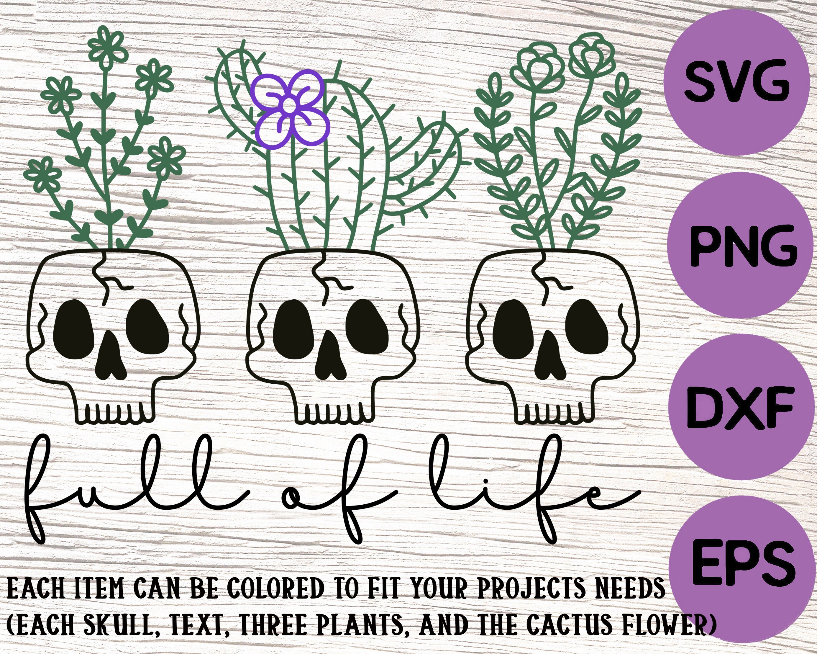 Skull Planter Svg / Skull Cactus Svg / Flower Skull Svg / Full of Life ...