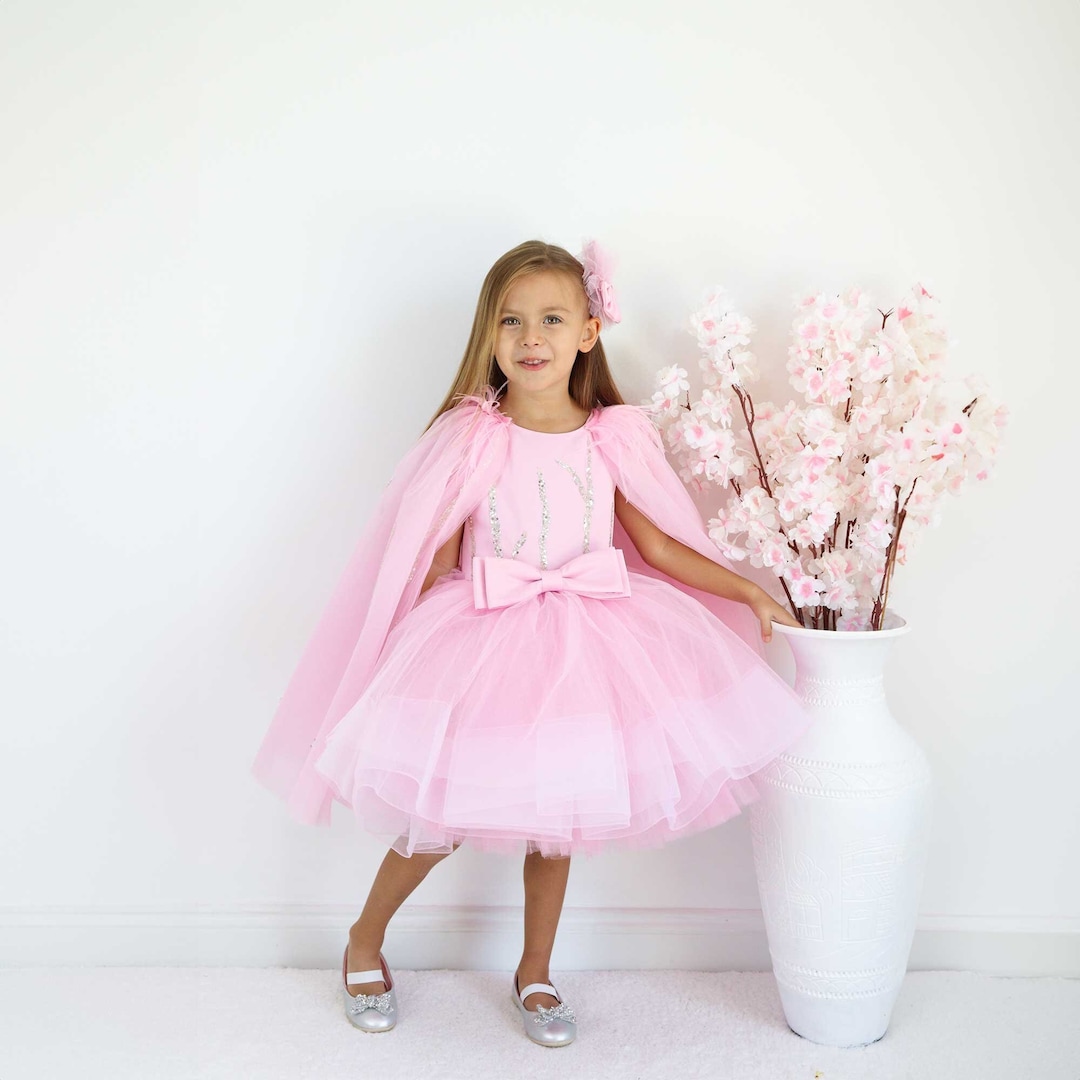 Princess Pink Birthday Dress for Girl, Special Occasion Birthday Dress ...