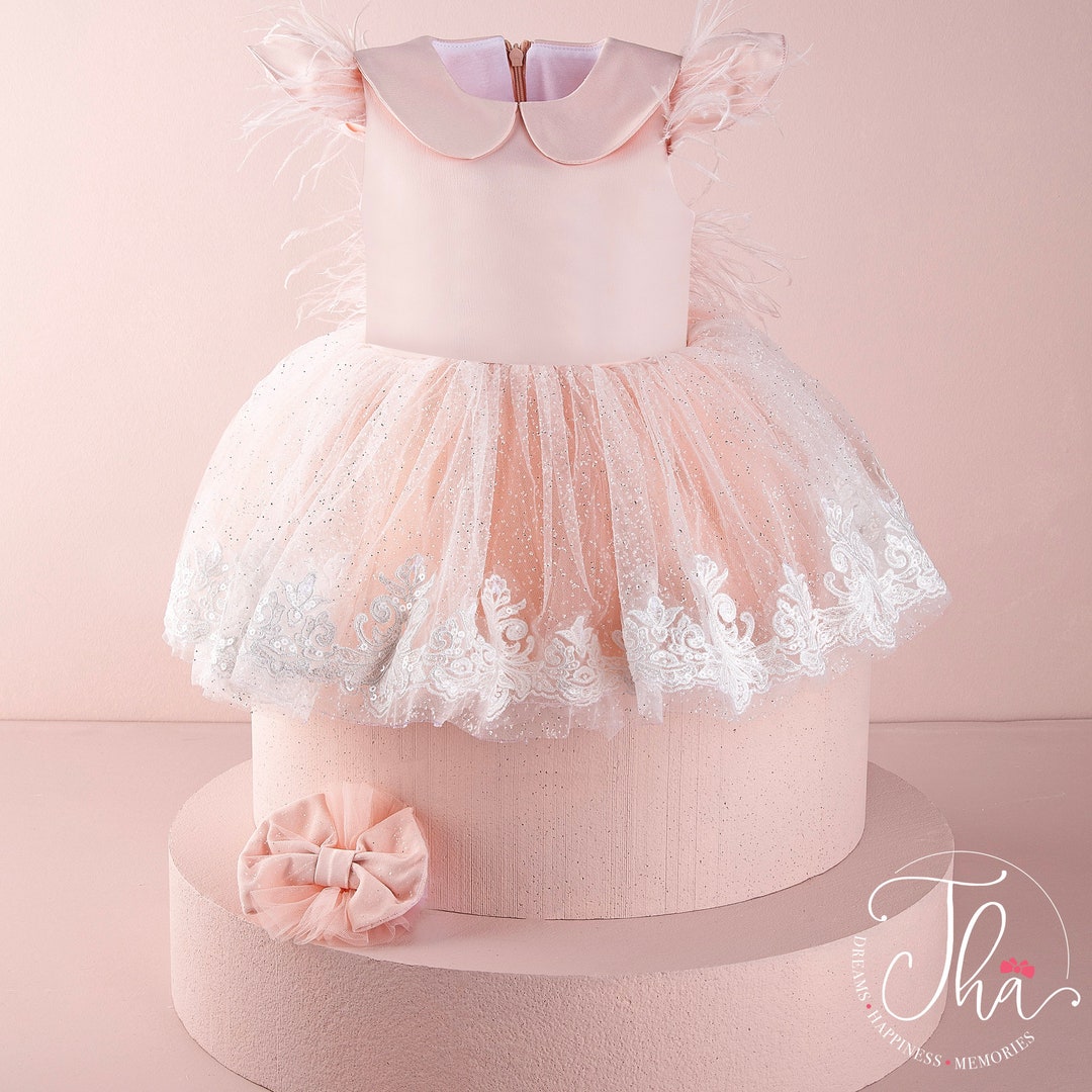 Pink Lace Princess Dress: Silvery Tulle, Feather Sleeves, Birthday ...