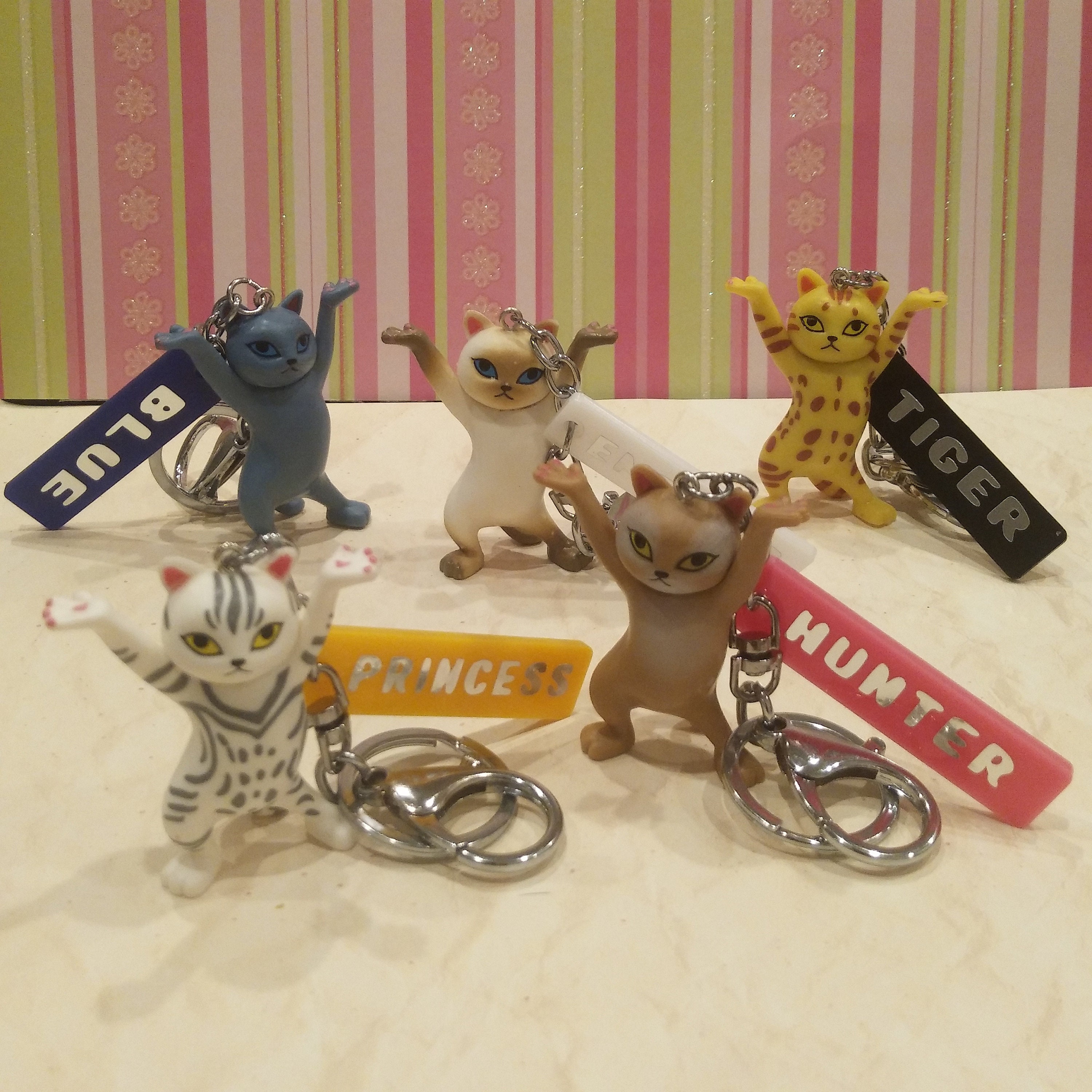Personalized Funny Cat Keychain , Custom Name Cat Keychain, Cool Gift ...