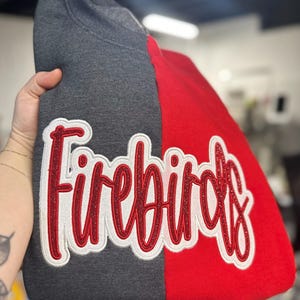 Custom Split Team Crewneck Sweatshirt: Embroidered Applique, School ...