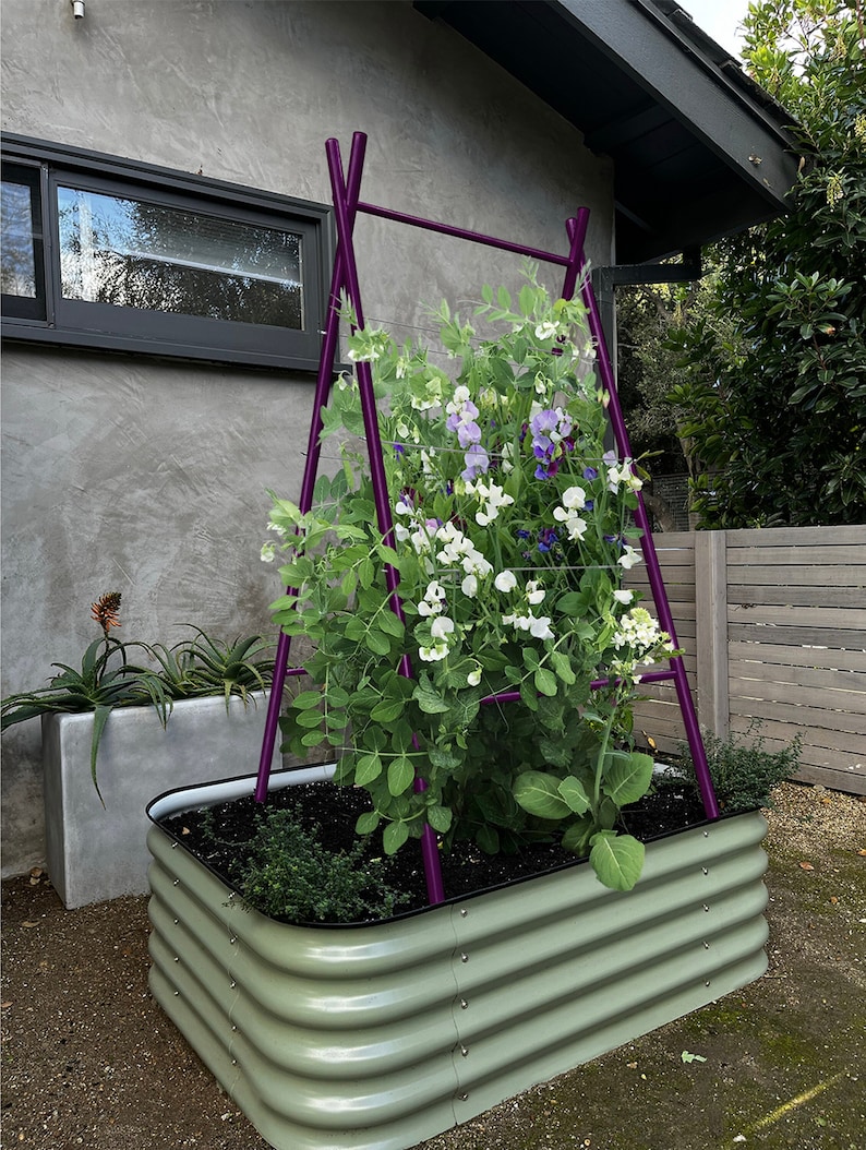 Modern A-frame Trellis, Sturdy Colorful Plant Support for Edible Garden ...