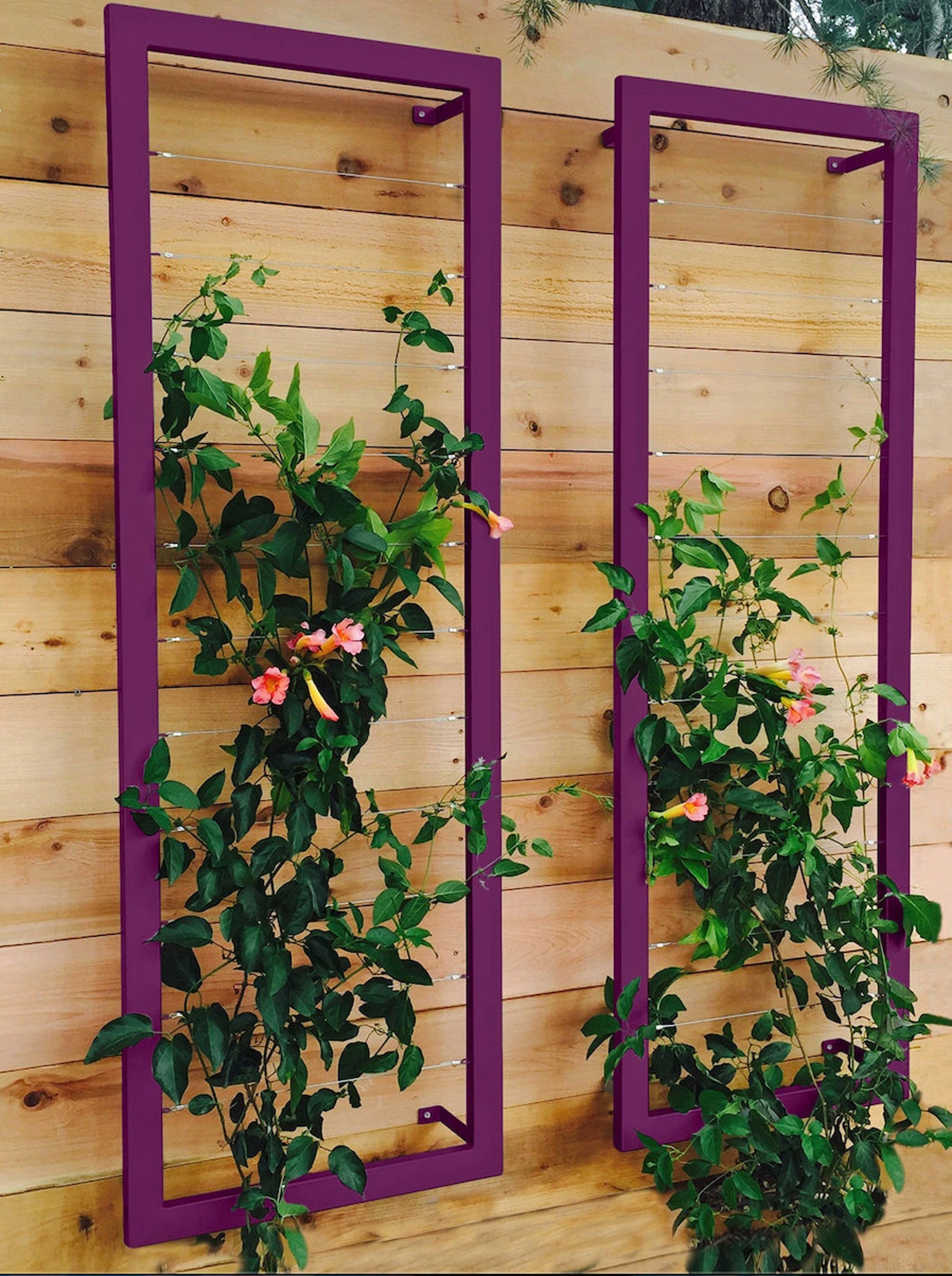 Modern Steel Wall Trellis - Large - Etsy