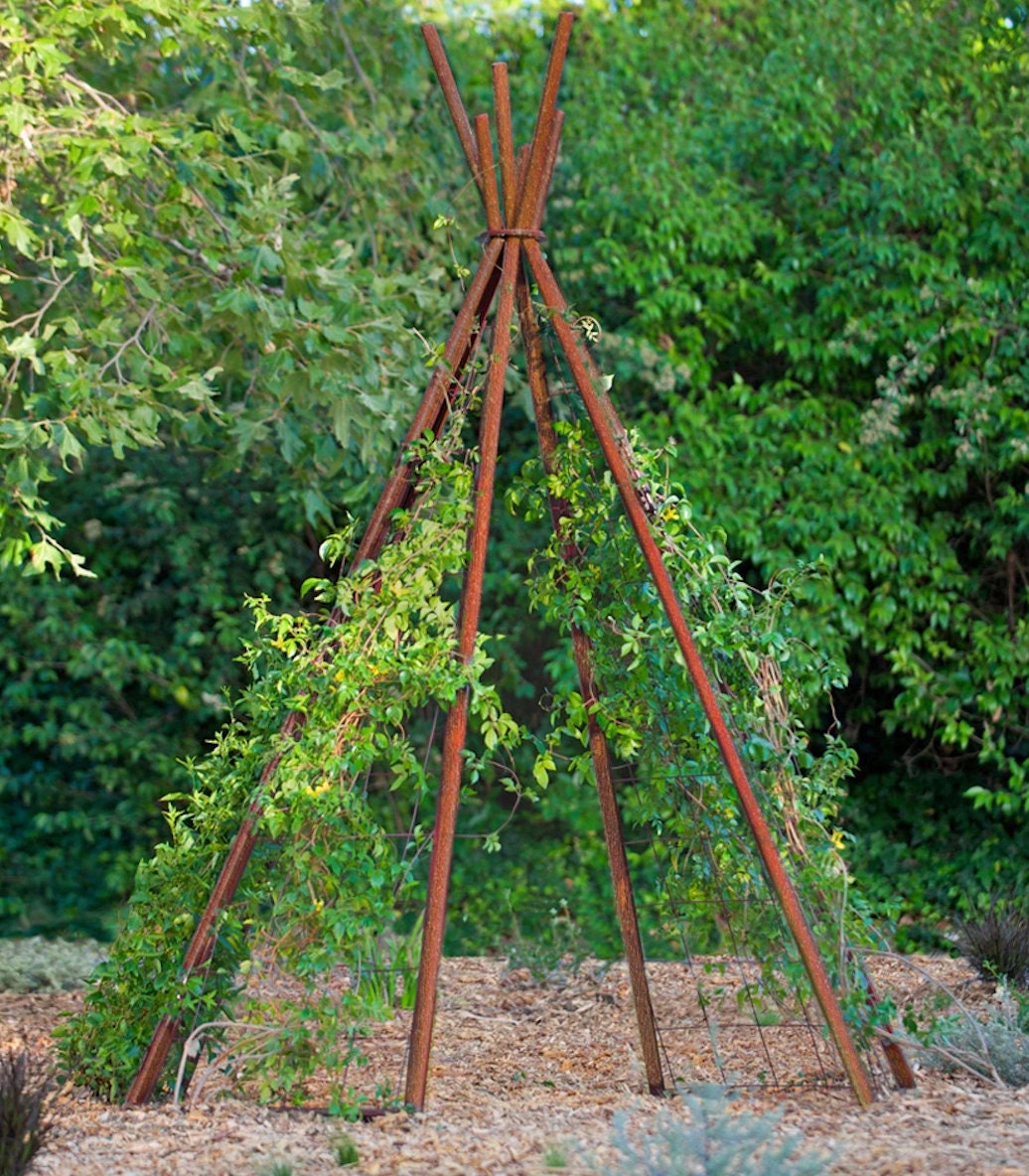 Modern Garden Tipi Trellis - Etsy