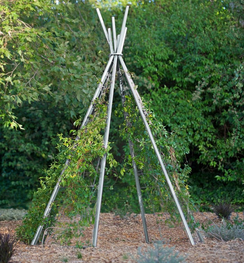 Modern Garden Tipi Trellis - Etsy