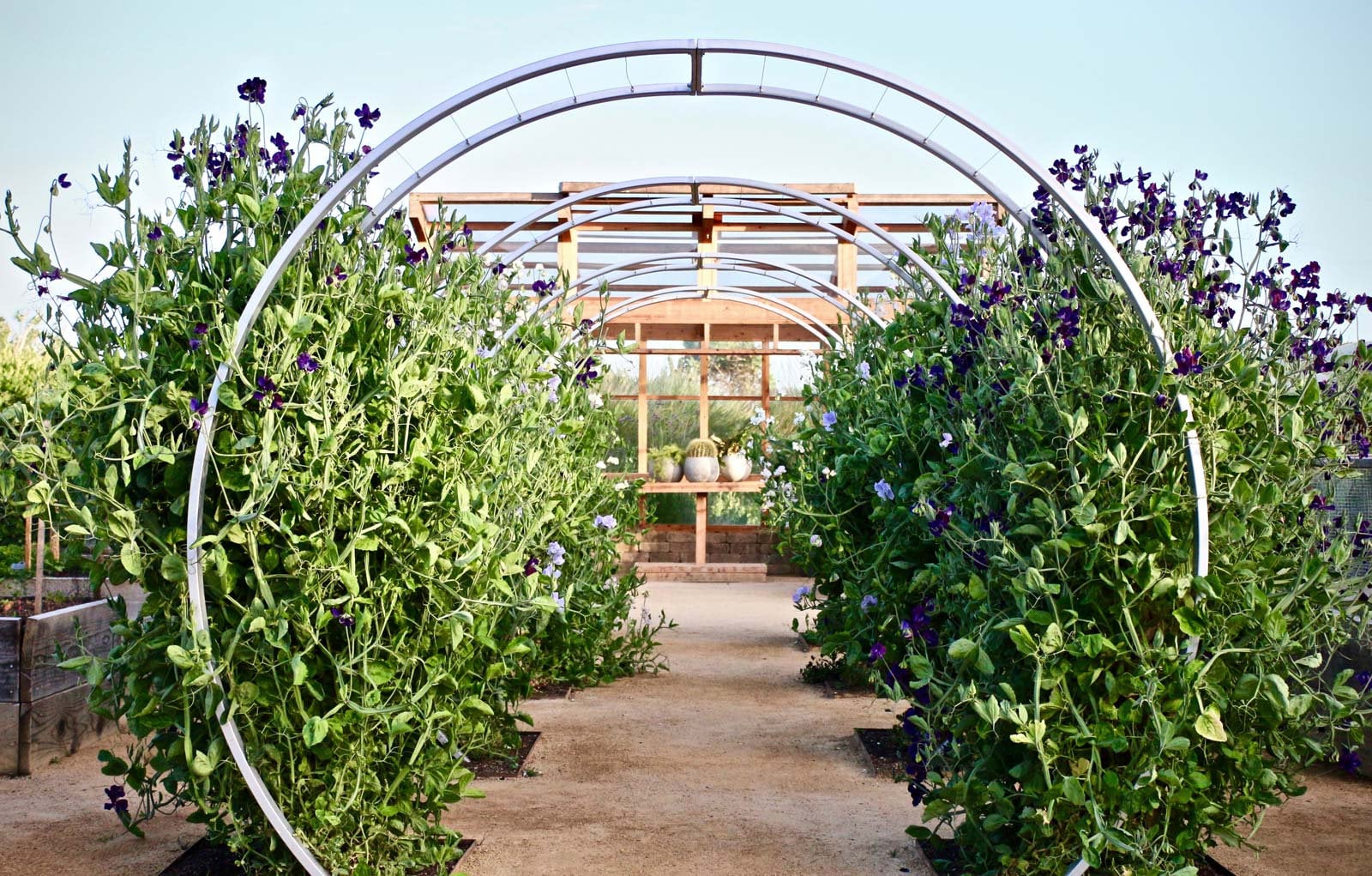 Gracie Sculptural Steel Moon Gate Arbor – Modern Garden Arch Trellis ...