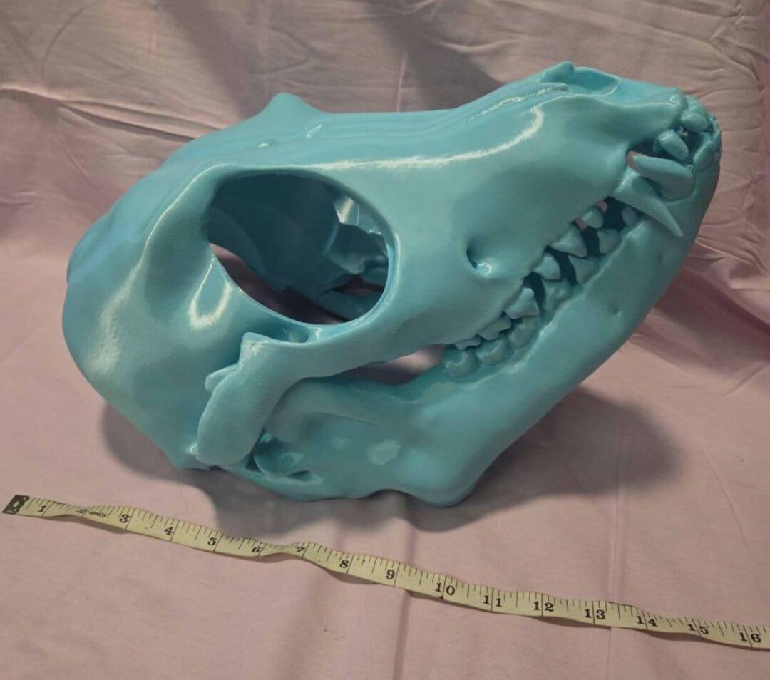 Light Blue Skull Mask Fox for Cosplay, Costuming, Halloween - Etsy