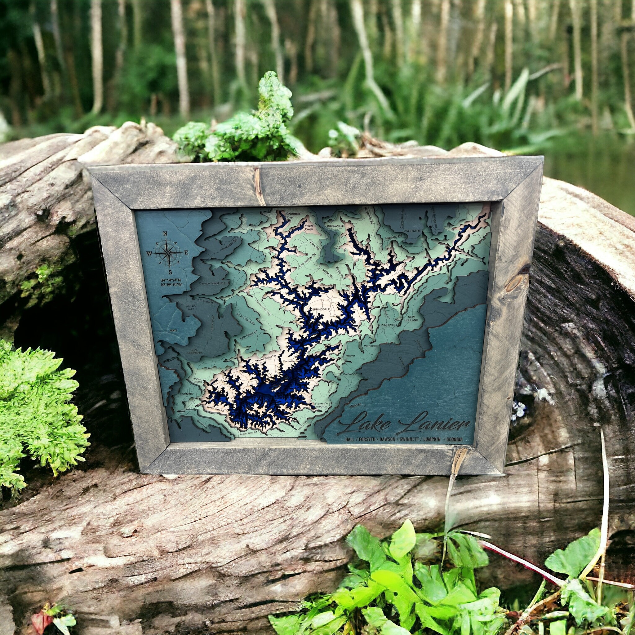 Topographical Lake Lanier Map - Etsy